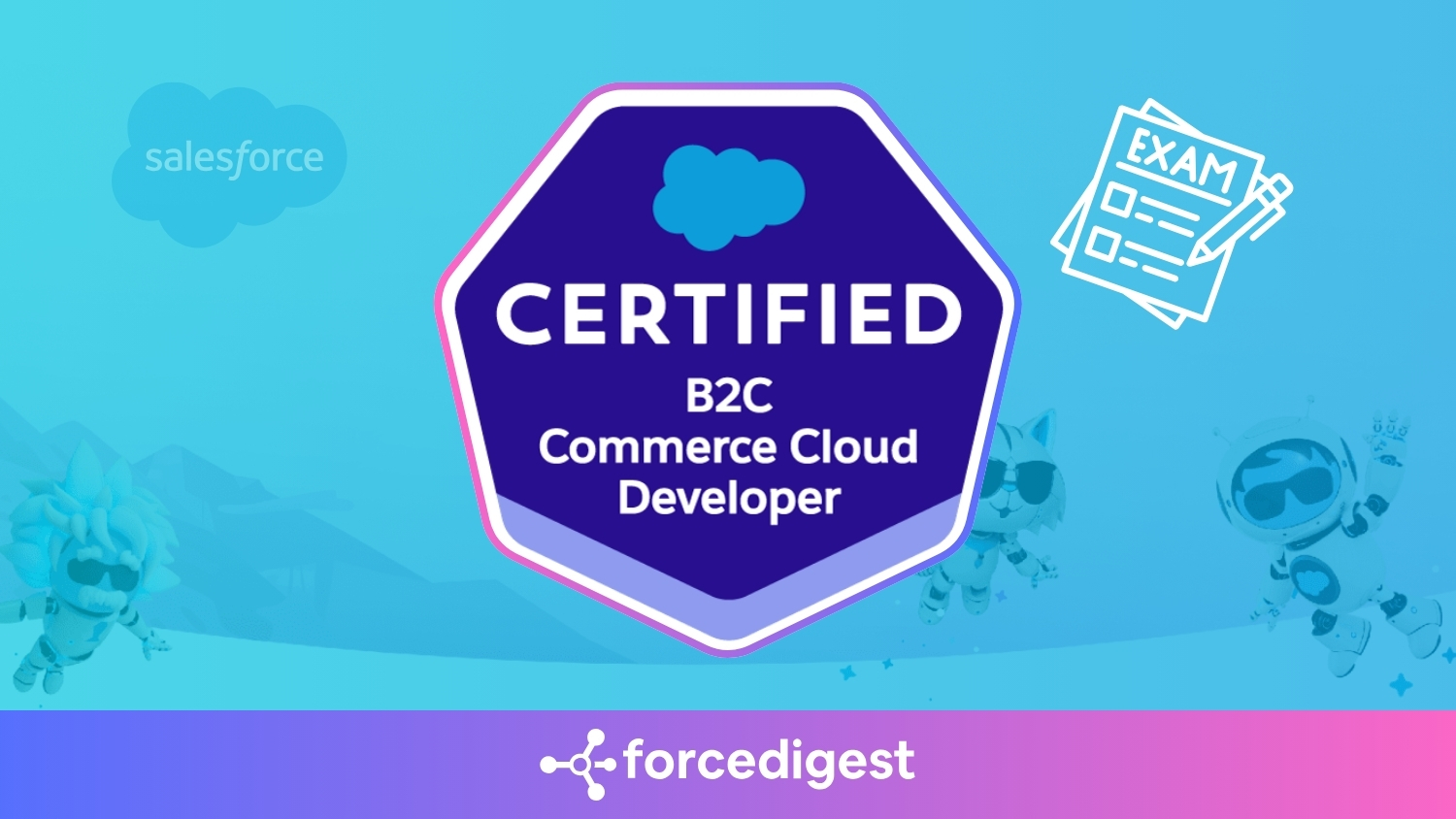 Salesforce Certified B2C Commerce Cloud Developer Exam Questions